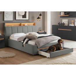 Polsterbett Inosign "CiTY/GiRON,, gepolstertes Stauraumbett, mit LED Beleuchtung", silber (silbergrau), B:170cm H:110cm L:235cm, Betten, Bettkasten mit Hundebett oder als Stauraum, klappbare Kopfteile