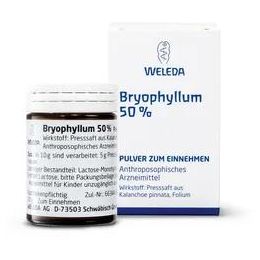 Weleda Bryophyllum 50% Pulver zum Einnehmen 50 g