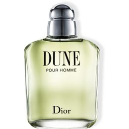 Dior Dune pour Homme EDT für Herren 100 ml