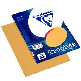 Clairefontaine Kopierpapier Trophée mandarin DIN A4 80 g/m² 100 Blatt