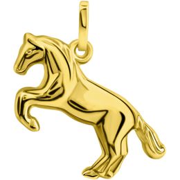 Ketten-Anhänger Firetti "Schmuck Geschenk Gold 375 Halsschmuck Anhänger Pferd", gold (gelbgoldfarben), Schmuckanhänger, Kinder, Gelbgold 375, 0,5 g