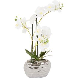 Kunstpflanze LEONIQUE "Orchidee", bunt (weiß, silberfarben), B:20cm H:55cm T:11cm, Kunststoff, Polyester, Keramik, Kunstpflanzen, Kunstpflanze, Kunstorchidee, im Topf, Bestseller, über 2500 4,5-Sterne-Bewertungen