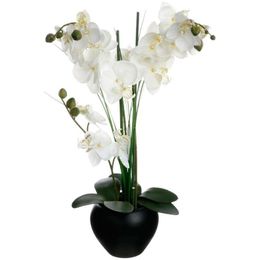 Künstliche Orchidee - schwarze Keramikvase - H53 cm - Atmosphera créateur d'intérieur