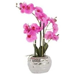 Kunstpflanze LEONIQUE "Orchidee", lila (lila, silberfarben), B:20cm H:55cm T:11cm, Kunststoff, Polyester, Keramik, Kunstpflanzen, Kunstpflanze, Kunstorchidee, im Topf, Bestseller, über 2500 4,5-Sterne-Bewertungen