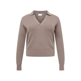 Calvin Klein Curve Pullover Damen Gr&ouml;&szlig;e 6XL taupe