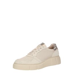 Paul Green Sneaker Damen Größe 37 elfenbein / sand / braun / schwarz
