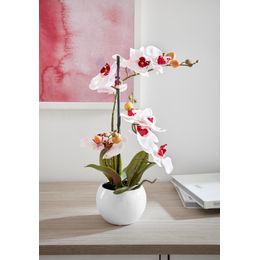 Kunstorchidee Home Affaire, H:42cm, rosa, Kunststoff, Kunstpflanzen, "Ernestine", Kunstpflanze, im Topf