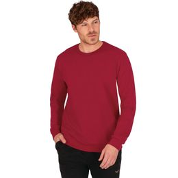 Sweatshirt TRIGEMA "TRIGEMA Sweatshirt aus Biobaumwolle", Herren, Gr. L, rot (rubin), 75% Baumwolle (Biobaumwolle kbA), 25% Baumwolle (recycelt), Basic, Sweatshirts