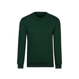 Sweatshirt TRIGEMA "TRIGEMA Sweatshirt aus Biobaumwolle", Damen, Gr. L, grün (tanne), 75% Baumwolle (Biobaumwolle kbA), 25% Baumwolle (recycelt), Basic, Sweatshirts