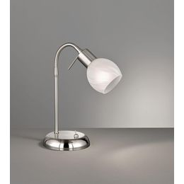 REALITY ANTIBES Tischleuchte Nickel-Matt, 1-flammig