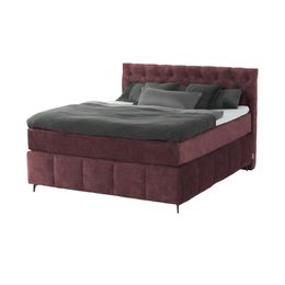 Jette Home Boxspringbett Glam New ¦ rot ¦ Maße (cm): B: 162 H: 132,5