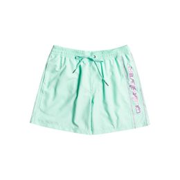 Quiksilver Badeshorts »Everyday Vert 14"« Beach Glass Material: Supersuede-Material