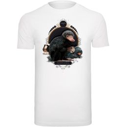 F4NT4STIC T-Shirt 'Fantastic Beasts 2 Baby Nifflers' Herren Gr&ouml;&szlig;e XL hellbraun / anthrazit / schwarz / wei&szlig;