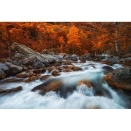 papermoon Fototapete "Photo-Art MATTEO MUSETTI, ENTSPANNEN SIE SICH", B/L: 4,5mm x 2,8mm, Bahnen: 9 Stk. St., bunt, Schlafzimmer, Tapeten