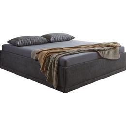 Polsterbett "Texel", schwarz, B:206cm H:34cm L:206cm, Bezug Bett: Veloursstoff 100% Polyester oder Microfaser (100% Polyester);Bonnell-Federkernmatratze: 51% Polypropylen, 39% Polyester und 10% Baumwolle;Kaltschaummatratze: 100% Polyester, Bezug abnehm- und waschbar bis 60C;Kissenbezug: 100% Polyester, Füllung : 100% Polyester (Hohlfaser), Westfalia Schlafkomfort, Betten, Standardhöhe mit Zierkiss