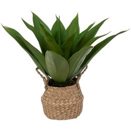 Künstliche Agave - Topf aus Schilfrohr - H48 cm Atmosphera Créateur D'intérieur