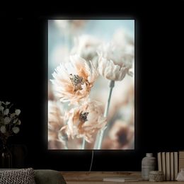 LED-Wechselbild Blumen Nahaufnahme