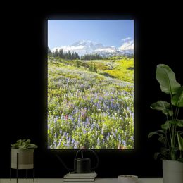 LED-Wechselbild Bergwiese mit Blumen vor Mt. Rainier