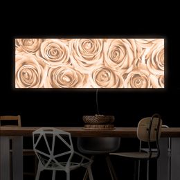 LED-Wechselbild Vintage Rosen