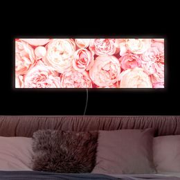 LED-Wechselbild Rosen Ros&eacute; Koralle Shabby