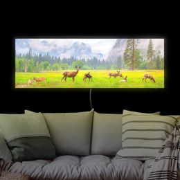 LED-Wechselbild Rehe in den Bergen