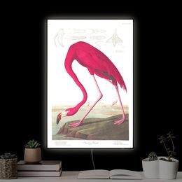 LED-Wechselbild Vintage Lehrtafel Amerikanischer Flamingo