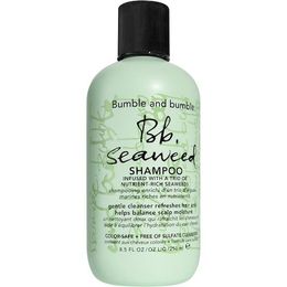 Bumble and Bumble Shampoo & Conditioner Shampoo Seaweed Shampoo