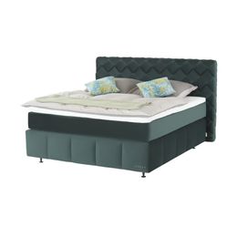 Jette Home Boxspringbett Braid ¦ grün ¦ Maße (cm): B: 222 H: 123