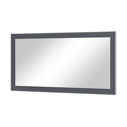 Höffner Spiegel 120 x 60 cm Duna ¦ grau ¦ Glas, Aluminium, Holzwerkstoff ¦ Maße (cm): B: 120 H: 60 T: 3