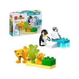 Lego 10442 DUPLO Town Wildtier-Familien: Pinguine und Löwen, Konstruktionsspielzeug