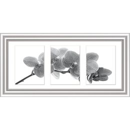 SONSTIGE Bilderrahmen ELEGANCE silber