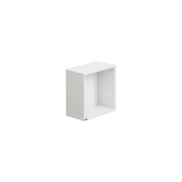 Wandboard Paidi