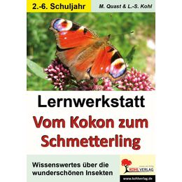 Kohl Verlag Lernwerkstatt Vom Kokon zum Schmetterling