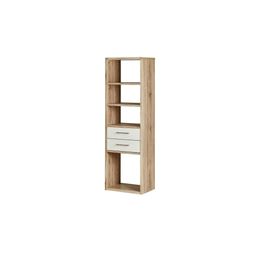 Möbel Kraft Standregal - holzfarben - Materialmix - 50,3 cm - 161 cm - 35,5 cm - Möbel Kraft