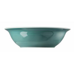 Thomas Bowl Trend Colour