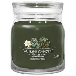 yankee candle Raumdüfte Votivkerze im Glas Silver Sage + Pine