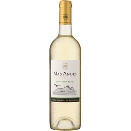 Rothschild Mas Andes Reserva Sauvignon Blanc