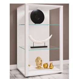 Vcm Vitrine GLASOL