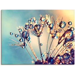 Wandbild Artland "Pusteblume Glitzertau", blau, B:120cm H:90cm, Canvas, Leinwand, Bilder, als Leinwandbild, Poster in verschied. Größen