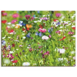 Wandbild Artland "Blumenwiese I", grün, B:120cm H:90cm, Canvas, Leinwand, Bilder, als Leinwandbild, Poster in verschied. Größen