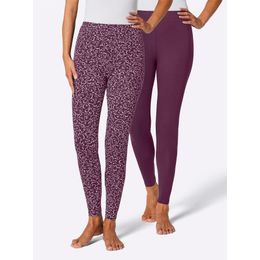 Leggings, Damen, Gr. 52/54, Normalgrößen, rot (bordeaux), 95% Baumwolle, 5% Elasthan, unifarben, Hosen