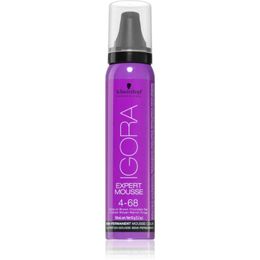 Schwarzkopf Professional IGORA Expert Mousse Schaumtönung für das Haar Farbton 4-68 Medium Brown Chocolate Red 100 ml