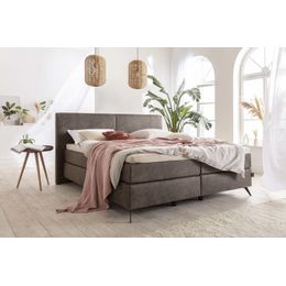 Boxspringbett Sansibar SVENDBORG