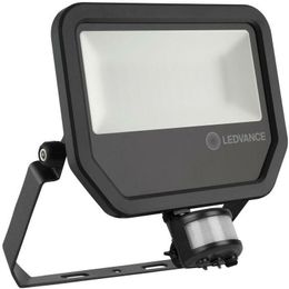 LEDVANCE - LED-Strahler 50W 4000K 6000lm sw mt Konv 1LED IP65 100° m.BWM Direktans FLPFM50W/4000KSYM100SBK8X1