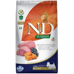 N&d Pumpkin Lamb&Blueberry Mini Adult - Trockenfutter für Hunde - 7 kg - Farmina