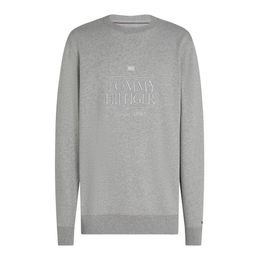 Tommy Hilfiger Sweatshirt male Grey size XXL