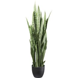 Künstliche Zimmerpflanze Creativ green "Sanseveria", grün, H:11cm Ø:50cm, Kunstpflanzen, mit detailgetreuen Blättern