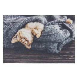 Astra Sauberlaufmatte 'Deco Print' 40 x 60 cm Katze grau