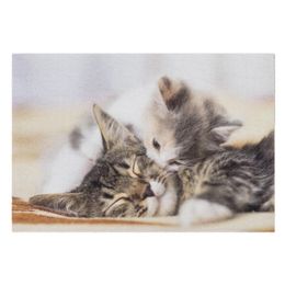 Astra Sauberlaufmatte 'Deco Print' 40 x 60 cm Kitten braun