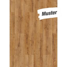 toom Handmuster zum Laminat 'SavanneXL WR' Higland Eiche naturfarben 8 mm